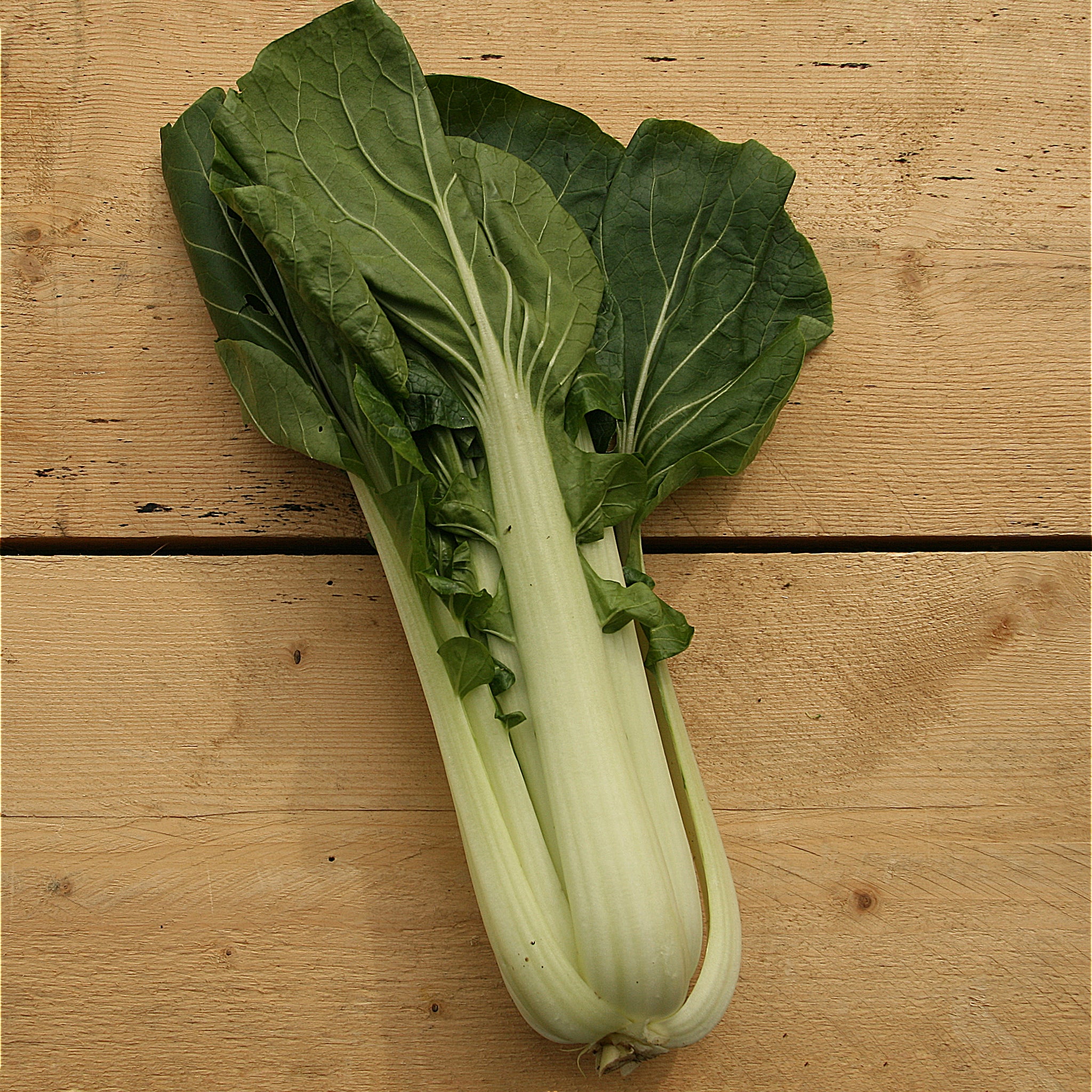 Greener Greens | UK Food Delivery | Organic Pak Choi